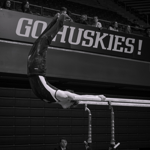 ANDREW LAYMAN - WASHINGTON MENS GYMNASTICS